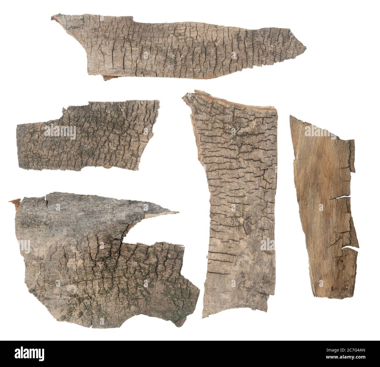 Rotten wood isolated on white background Stock Photo - Alamy