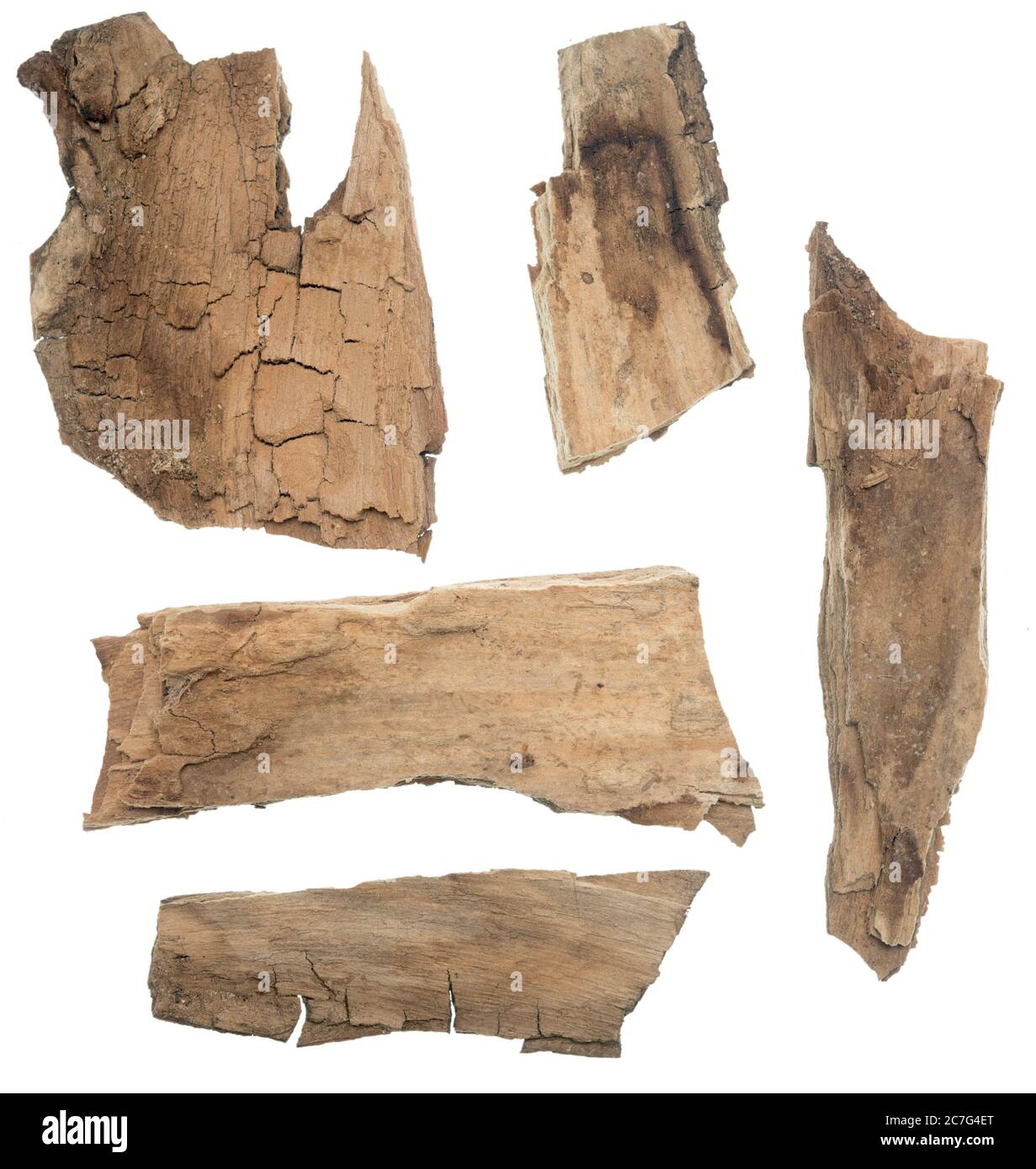 Rotten wood isolated on white background Stock Photo - Alamy