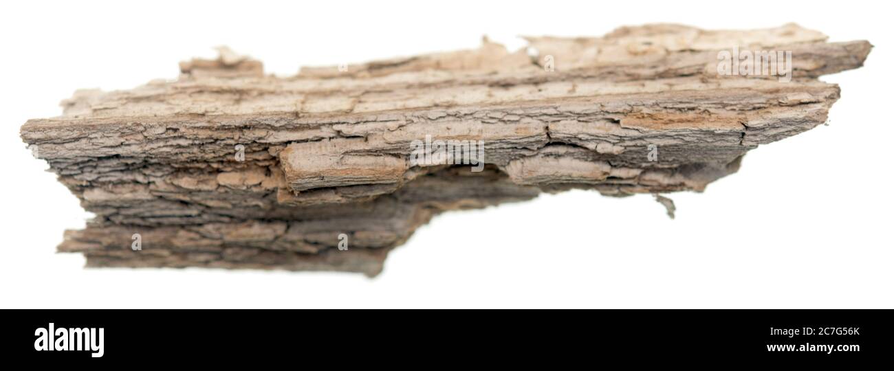 Rotten wood isolated on white background Stock Photo - Alamy