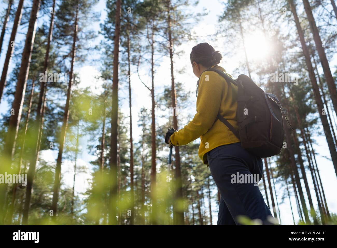 Walking in summer forest. Female tourist hiking alone Stock Photo - Alamy