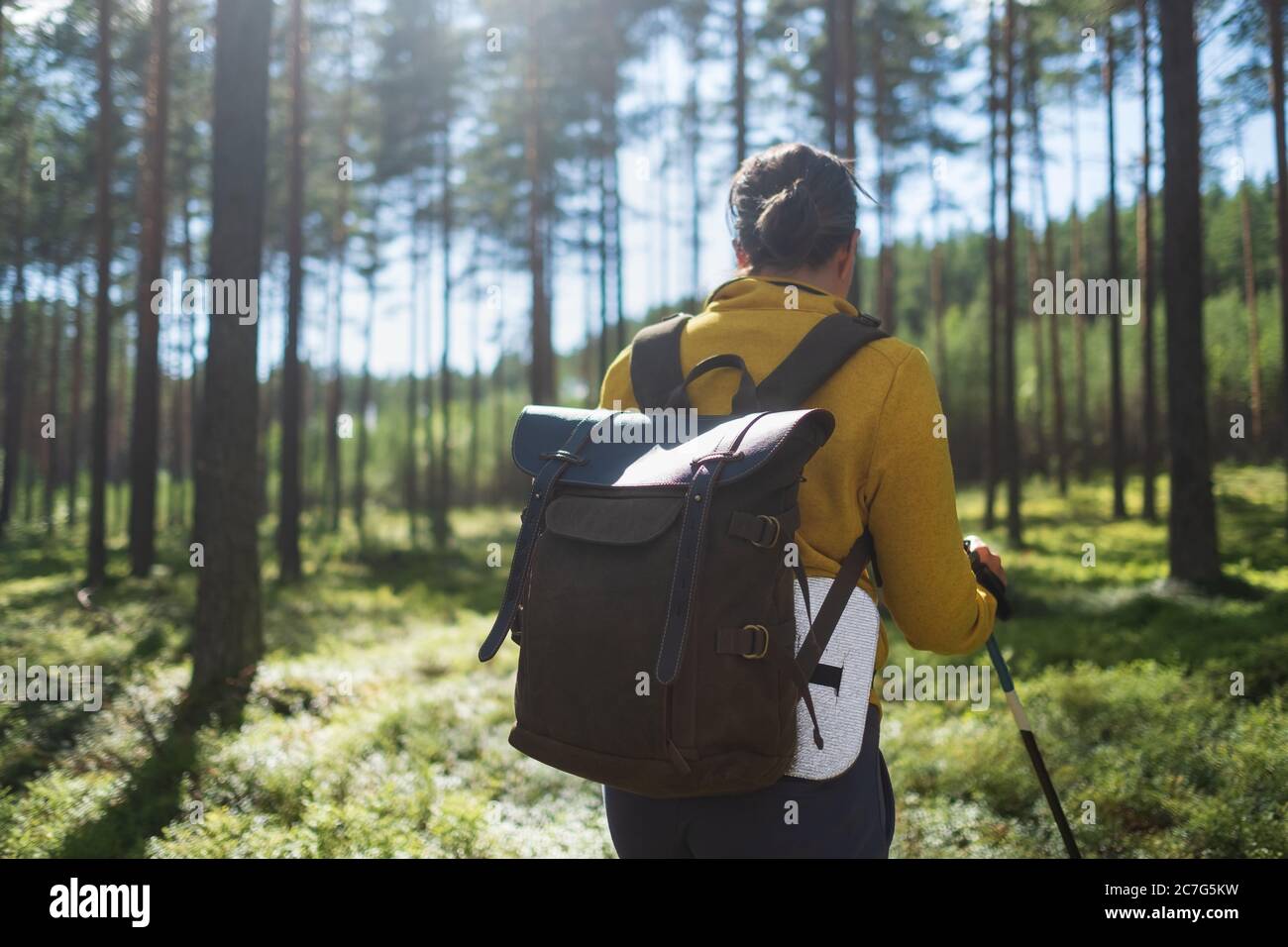 Walking in summer forest. Female tourist hiking alone Stock Photo - Alamy