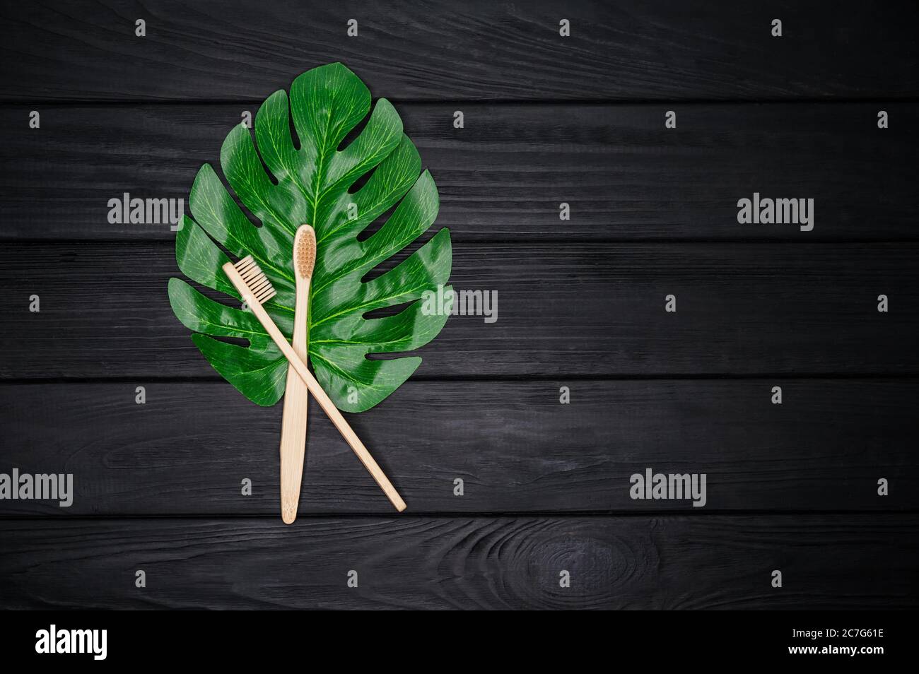 Toothbrush tree hi-res stock photography and images - Alamy