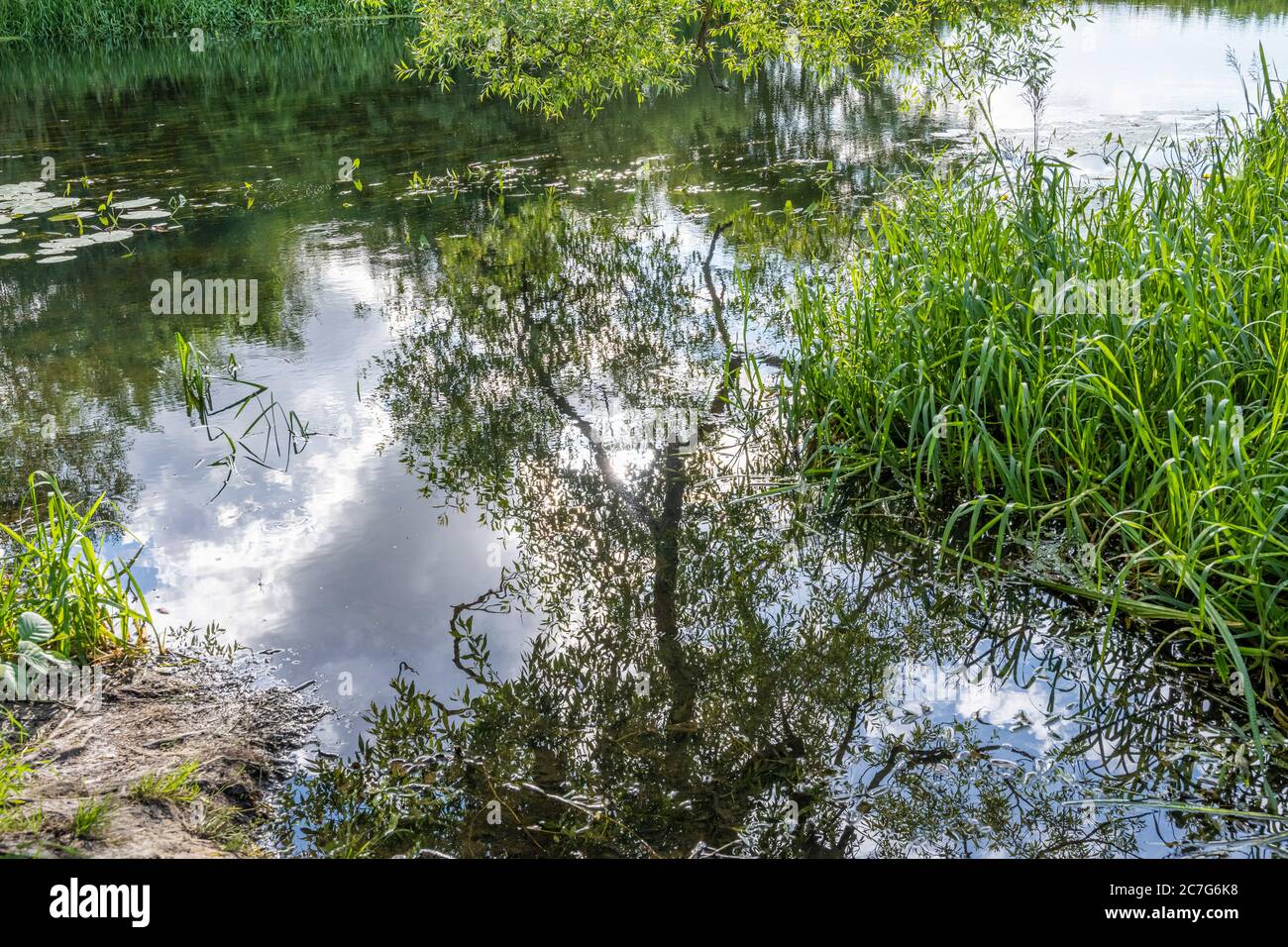 Beautiful murky river floating through a lush, green area. Reflections ...