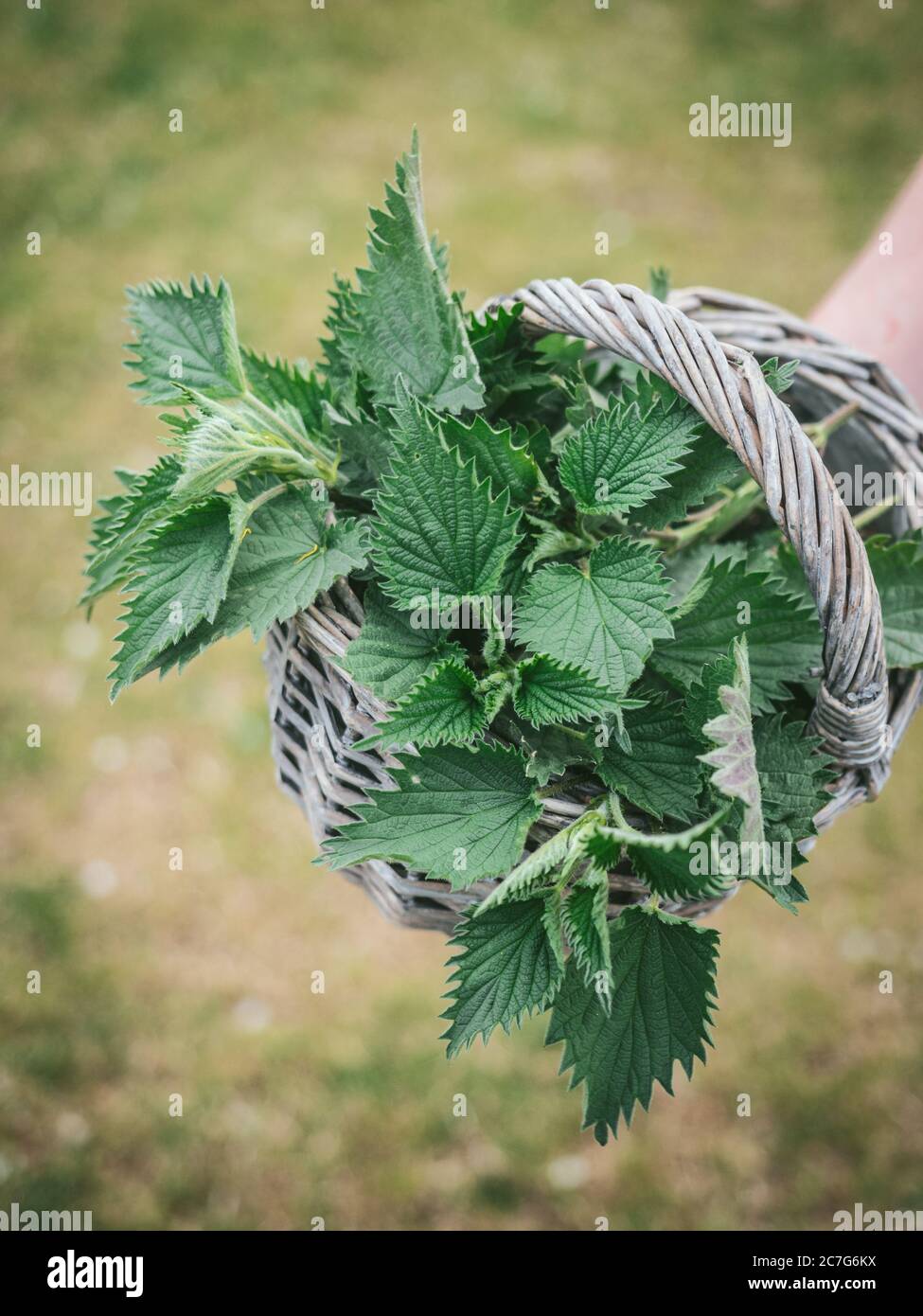 Spring harvest basket hi-res stock photography and images - Alamy