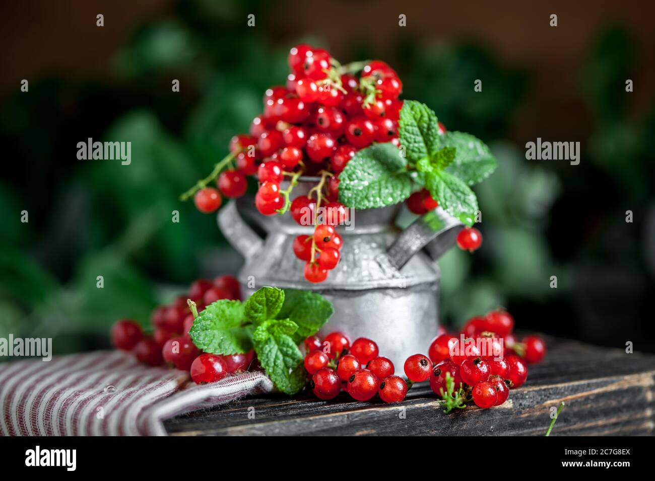 Fresh red currants in a Cup on a dark rustic wooden table. Background ...