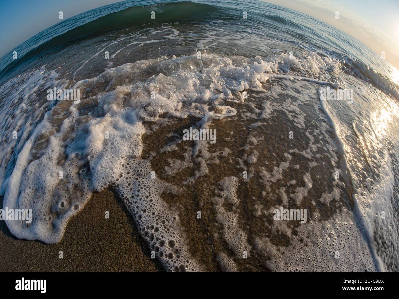 Fish eye close up hi-res stock photography and images - Alamy