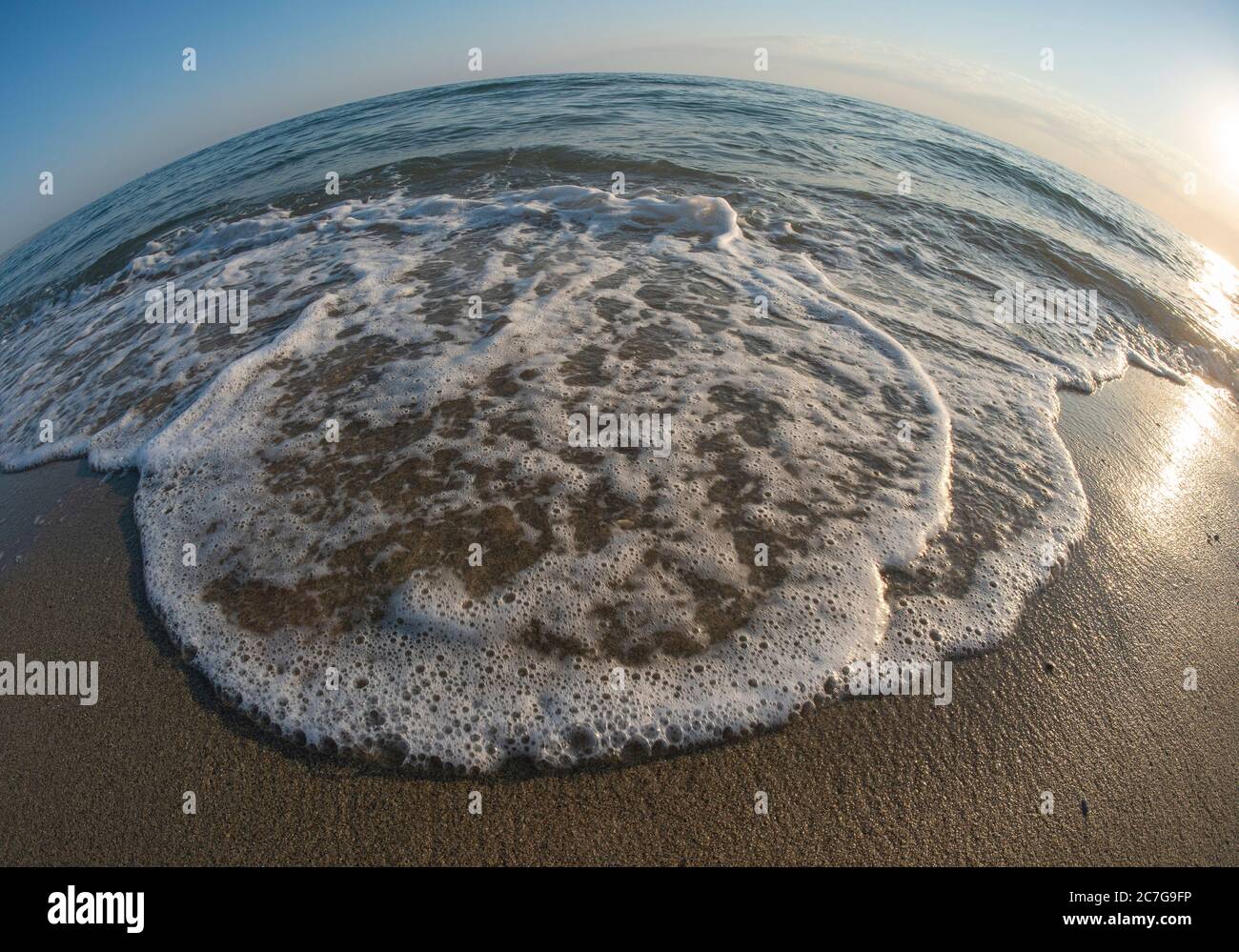 wave beach fish eye close up macro Stock Photo - Alamy
