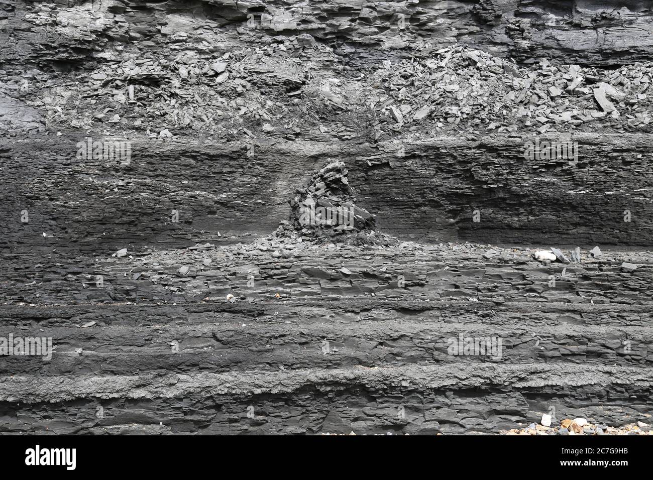 Fossil hunting at low tide between Lyme Regis and Charmouth at Black ...