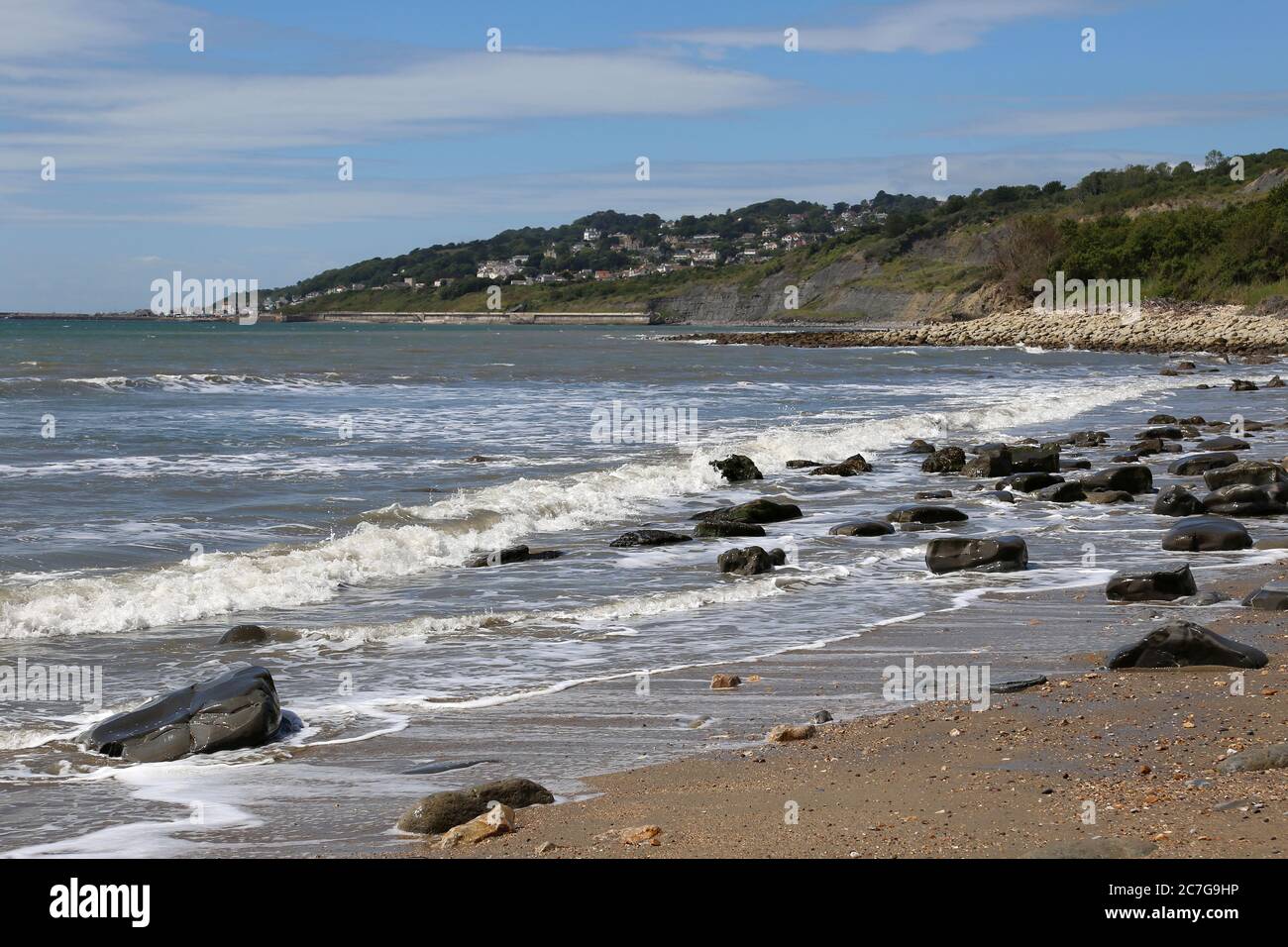 Black ven lyme regis fossils hi-res stock photography and images - Alamy