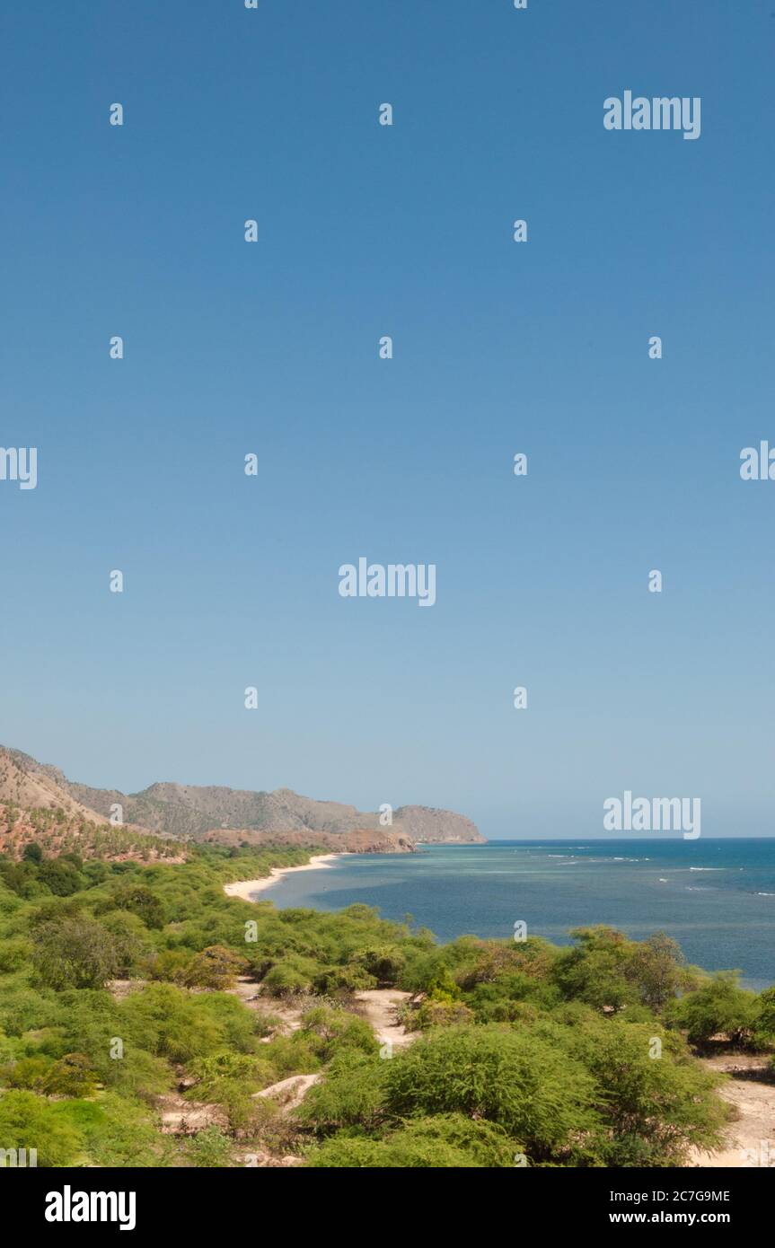 coastline with mangrove forest in Hera Timor Leste Stock Photo - Alamy
