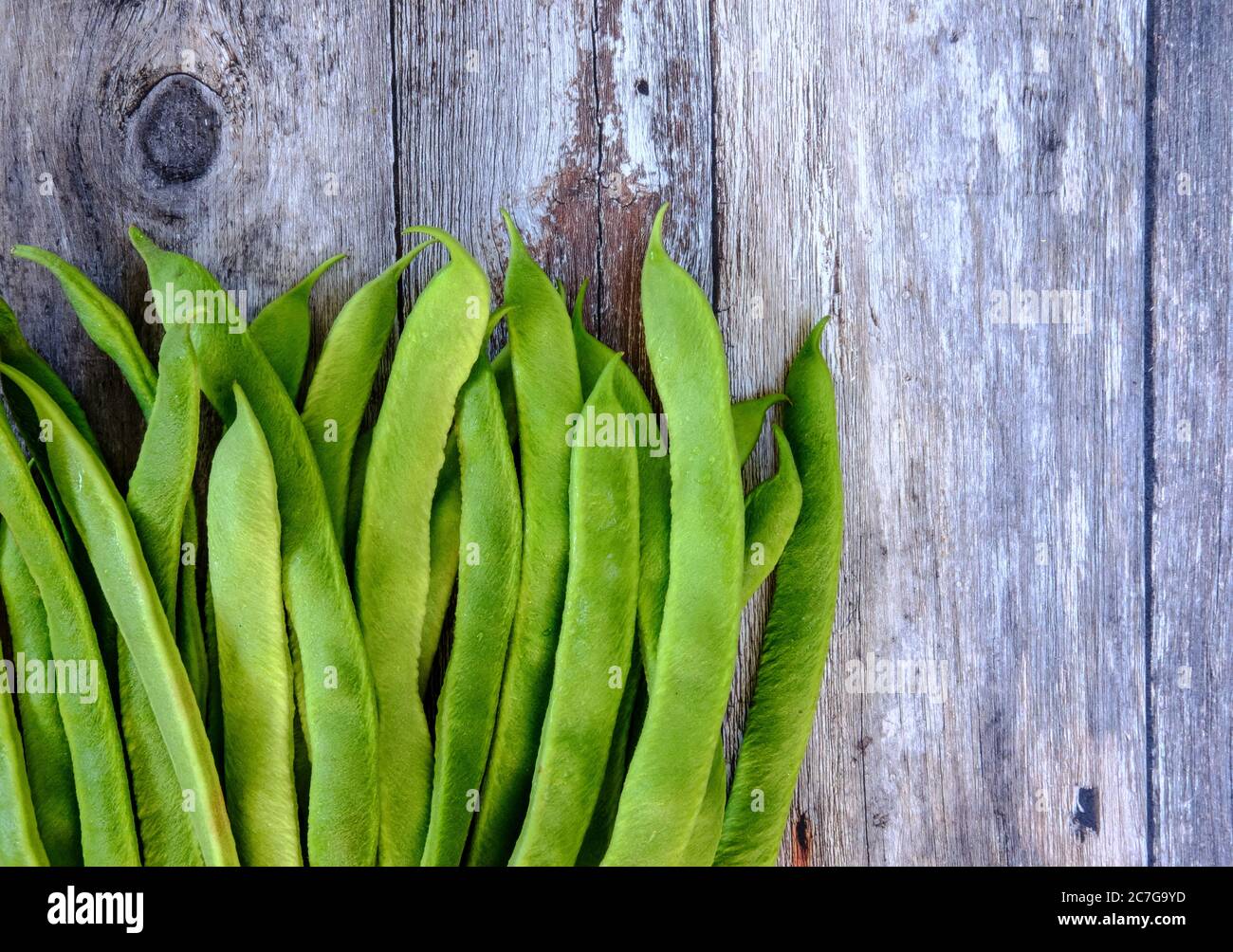 Top down view of fresh, home grown runner beans seen washed and ...