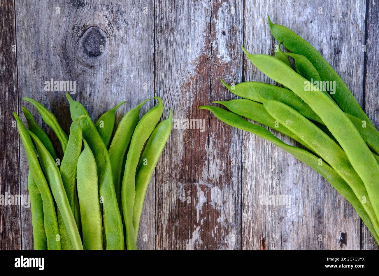 Top down view of fresh, home grown runner beans seen washed and ...