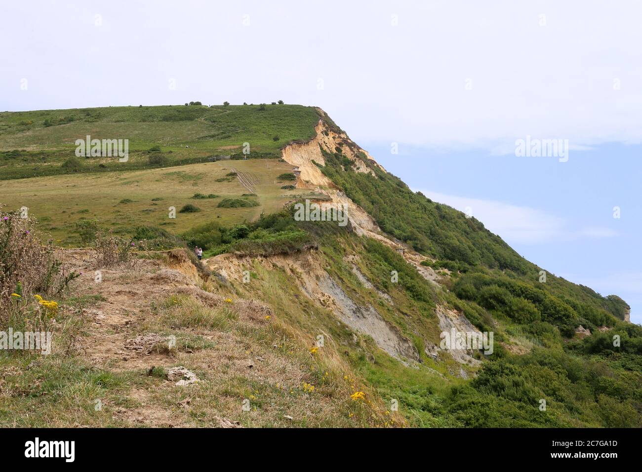Golden Cap, South West Coast Path, Dorset, England, Great Britain ...