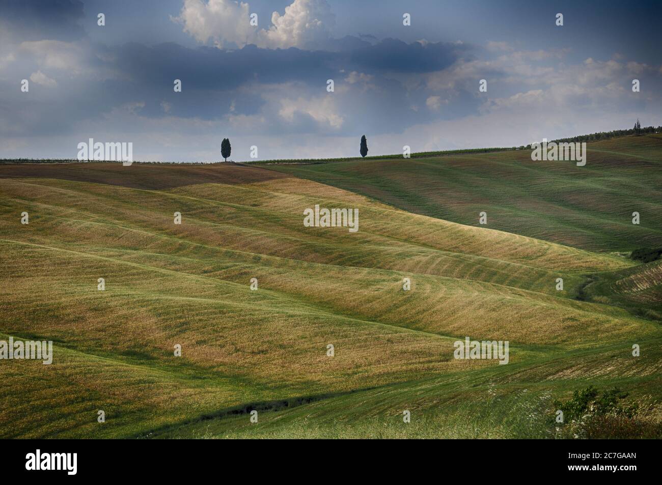 Beautiful grass covered fields under the clouds in the sky Stock Photo ...