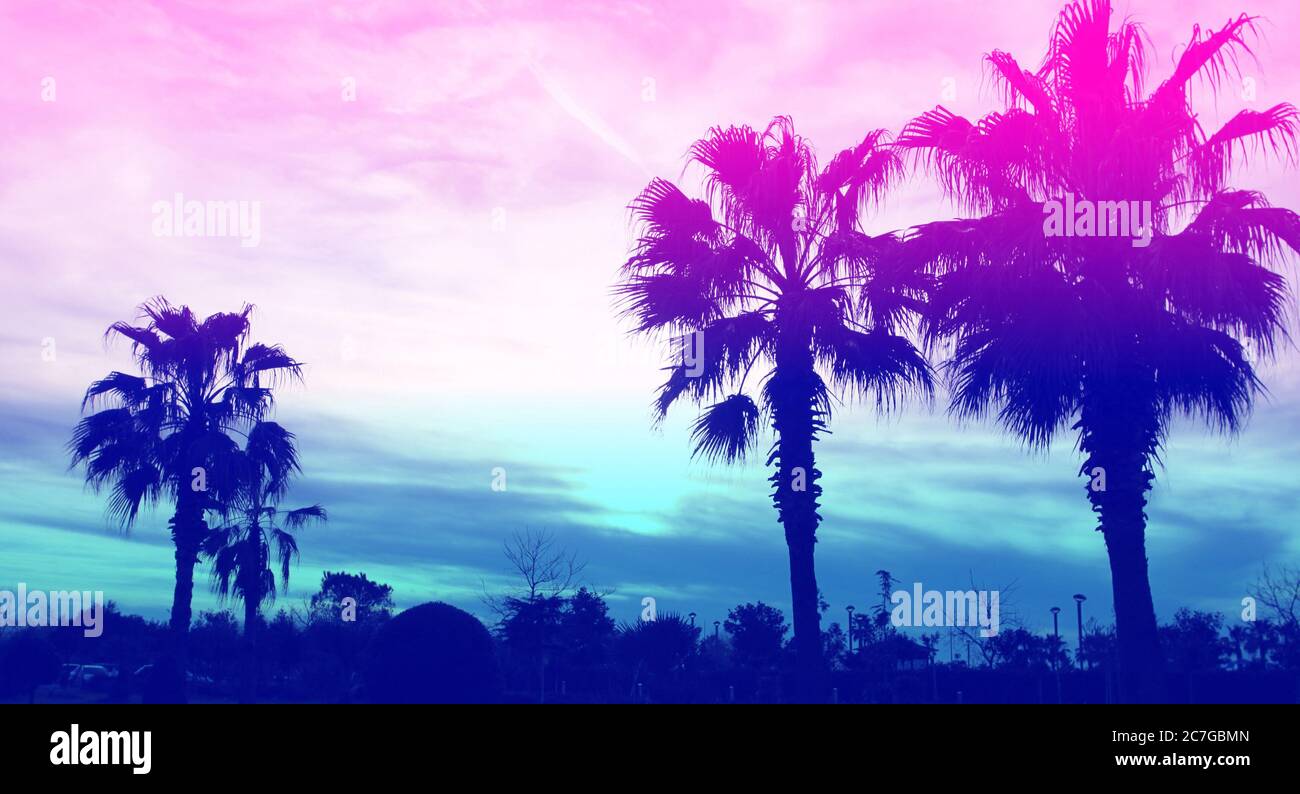 Photo of retro neon palms in the tropics Stock Photo - Alamy
