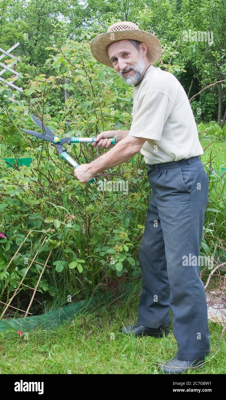 Man cuts plant gardening hi-res stock photography and images - Alamy