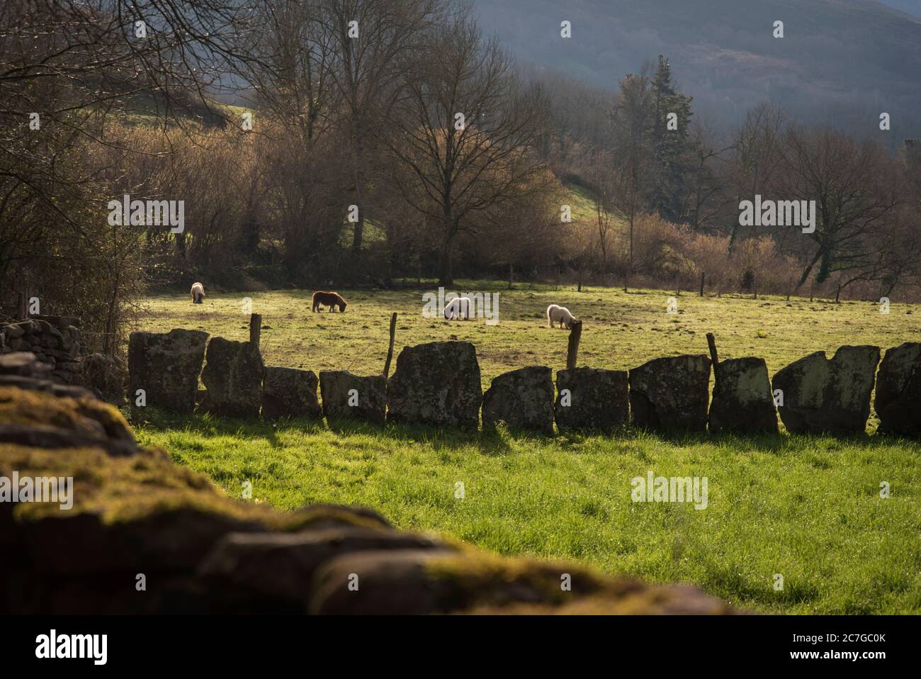 Navarre, spain countryside hi-res stock photography and images - Alamy