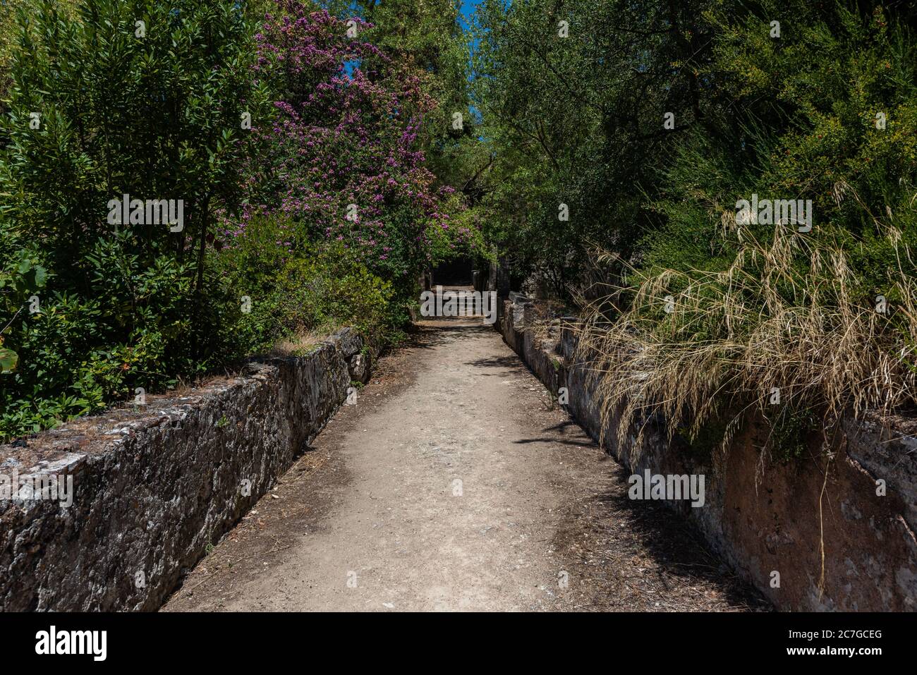 Pathway in a garden of the Templar Castle under sunlight in Tomar in ...