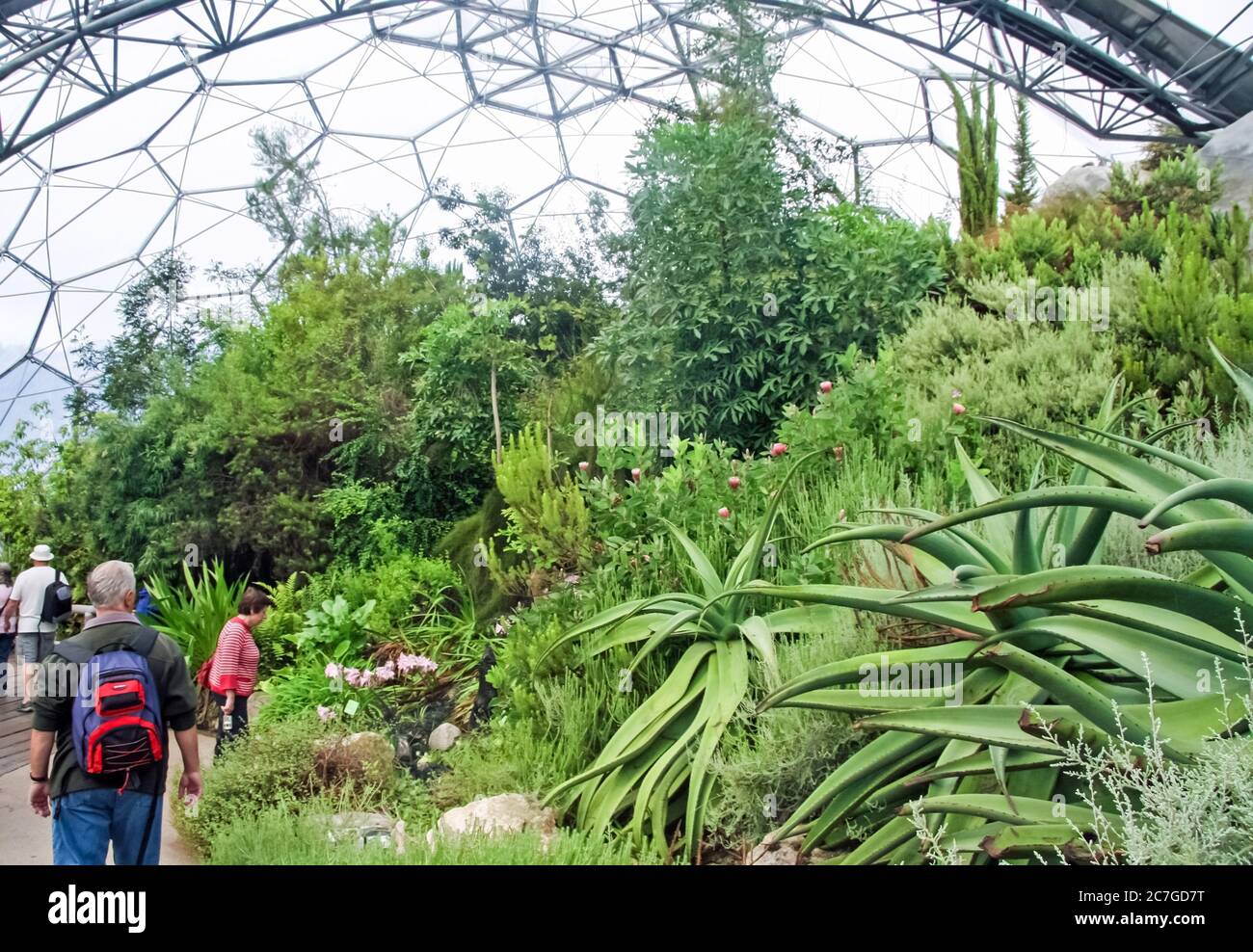 The Eden Project in Cornwall is an educational charity offering a view ...