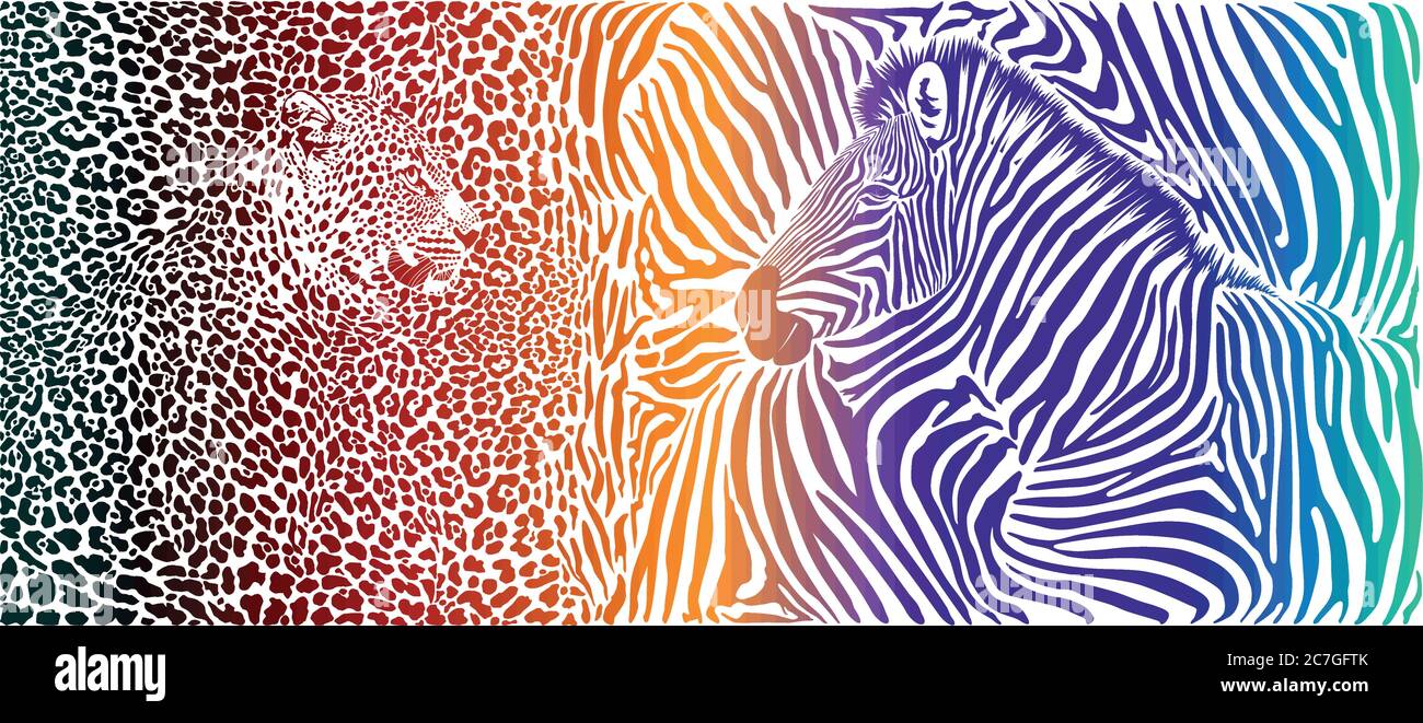 Animal background with motif wild zebra and leopard Stock Vector Image ...