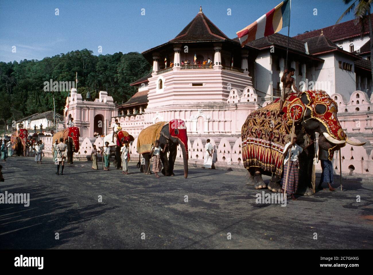 Kandy Sri Lanka Perahera Celebrations Elephants Pass The Temple Of The ...