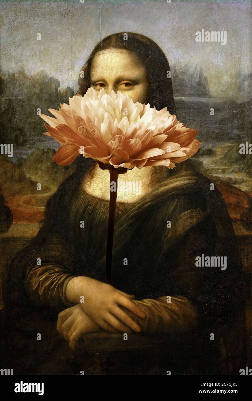 Mona Lisa modified, appropriation art Stock Photo - Alamy