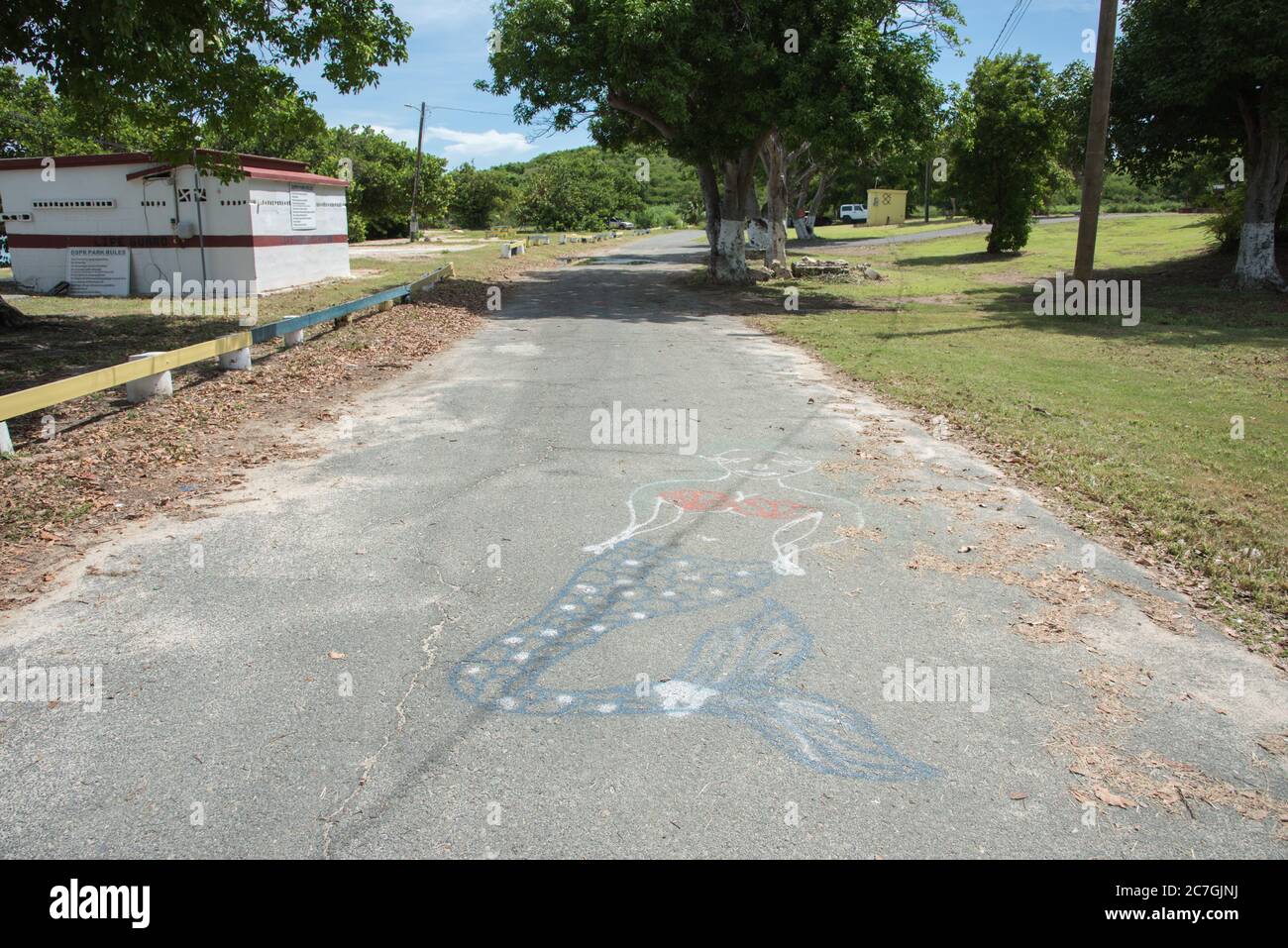 Mermaid beach, st croix hi-res stock photography and images - Alamy