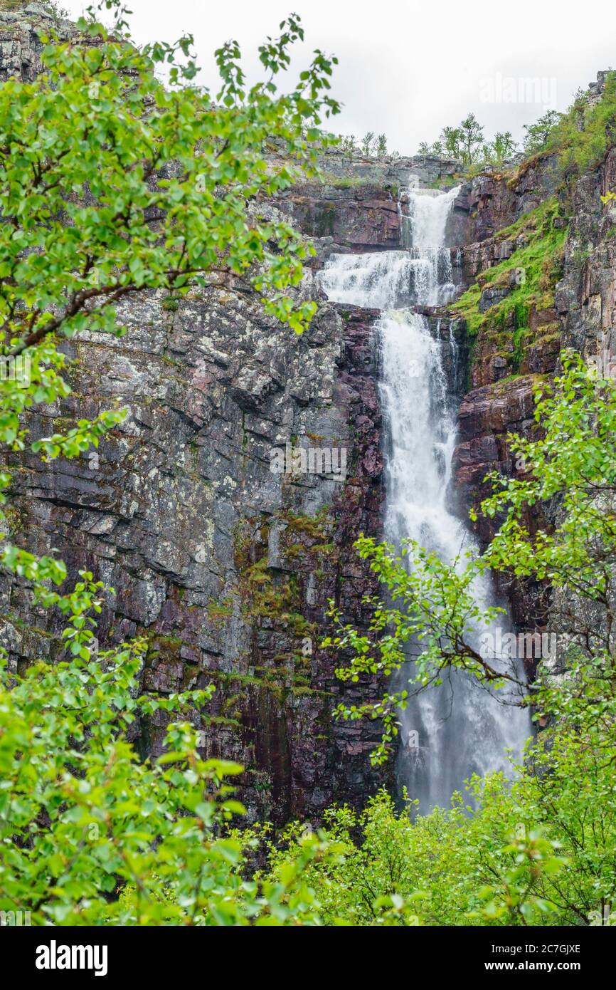 Waterfall on a mountain with tree branches Stock Photo - Alamy