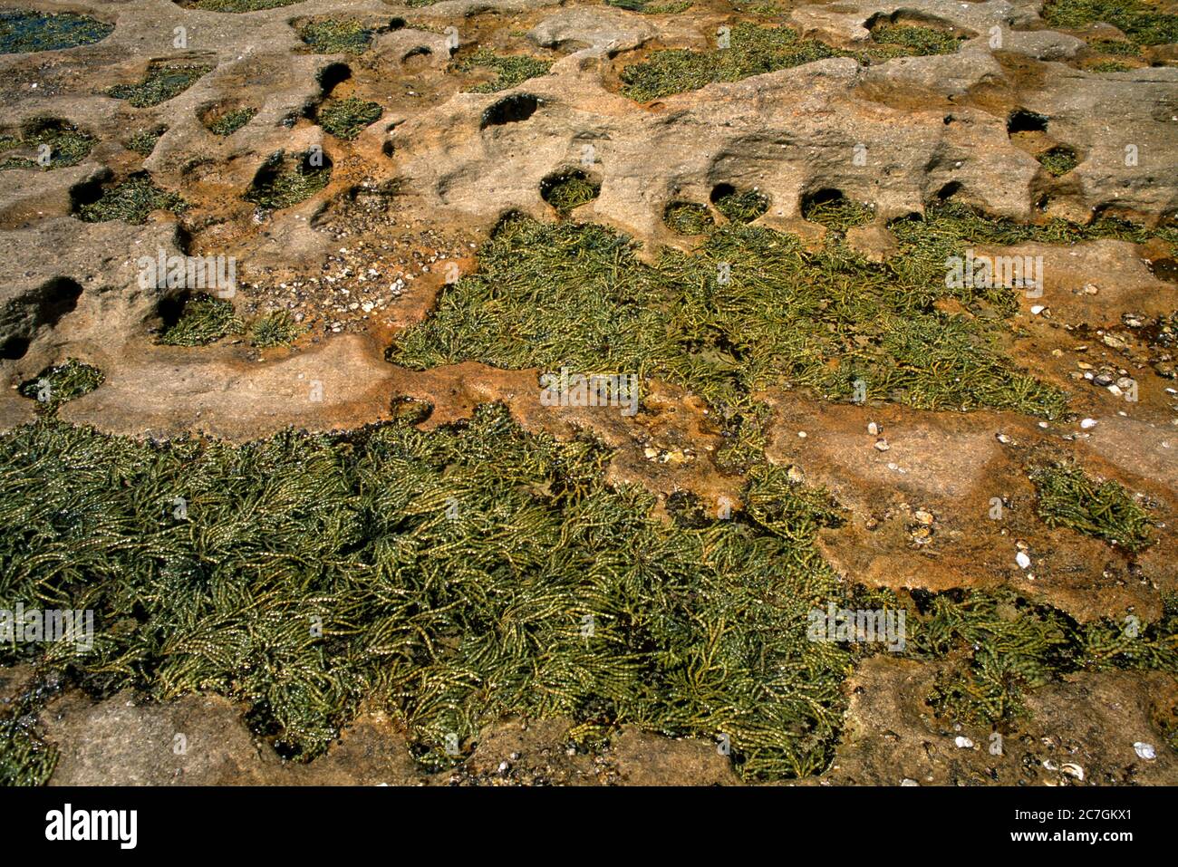 Rock Pools Rockpools High Resolution Stock Photography and Images - Alamy