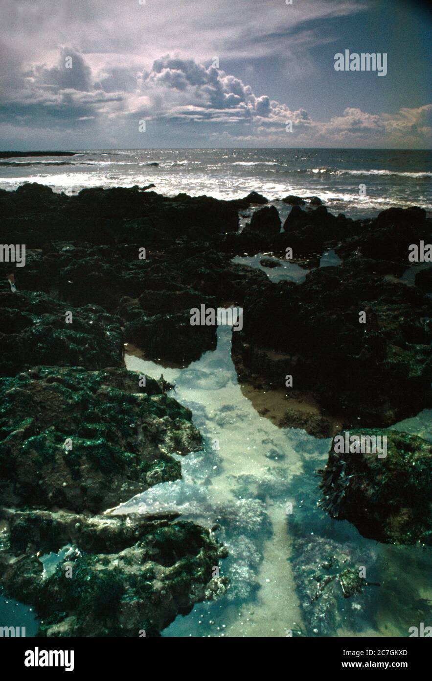 Swansea Wales West Cross Gower Peninsula Rock Pools At High Tide With ...
