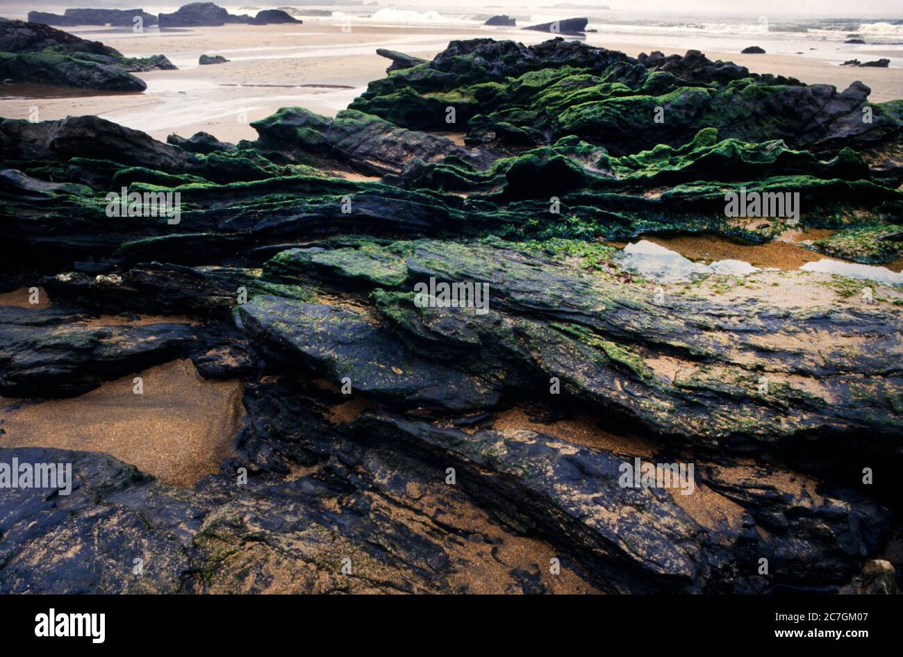Asturias Spain Rock Pools On Beach Stock Photo - Alamy
