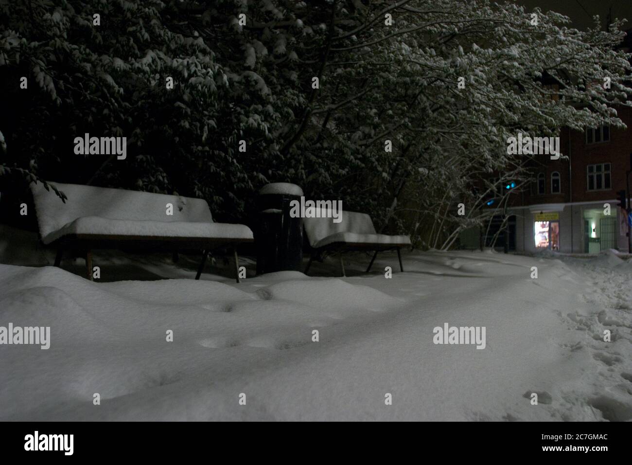Snowy ground with benches near trees covered in snow at night time ...