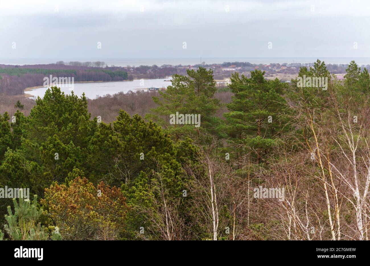 Aerial perspective of tree tops hi-res stock photography and images - Alamy