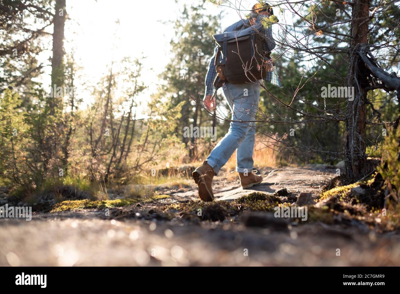 Man walking on a path through the forest Stock Photo - Alamy