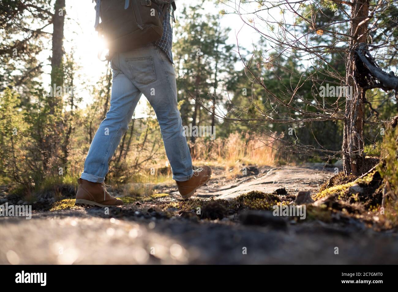 Man walking on a path through the forest Stock Photo - Alamy