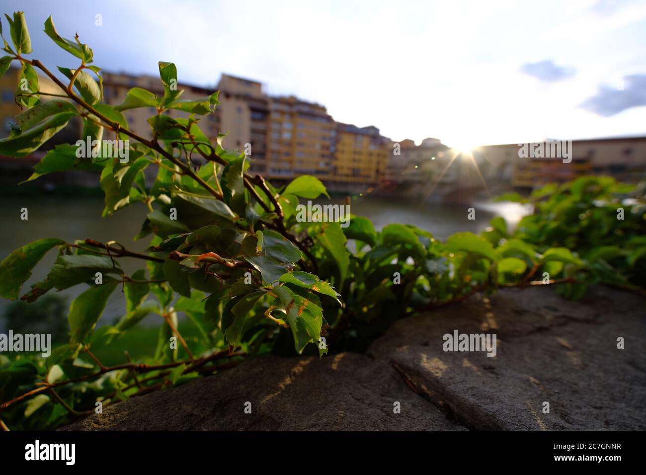 florence bridge in sunset background Stock Photo - Alamy