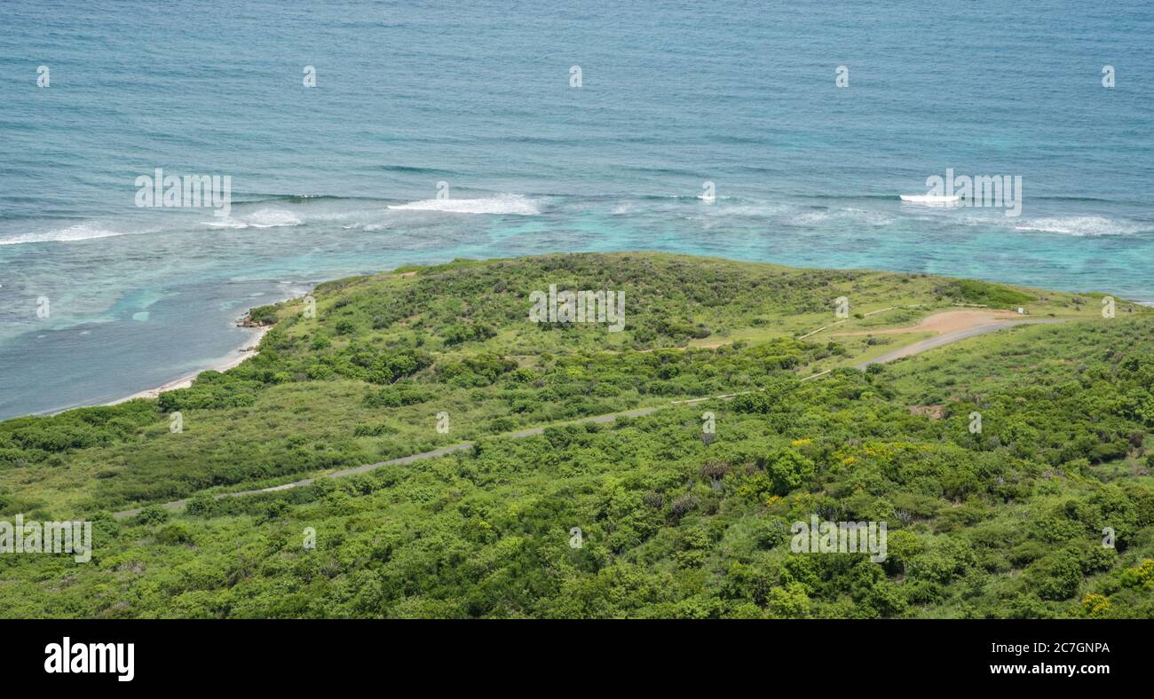 View over coastal road with native plants and Caribbean Sea from the ...