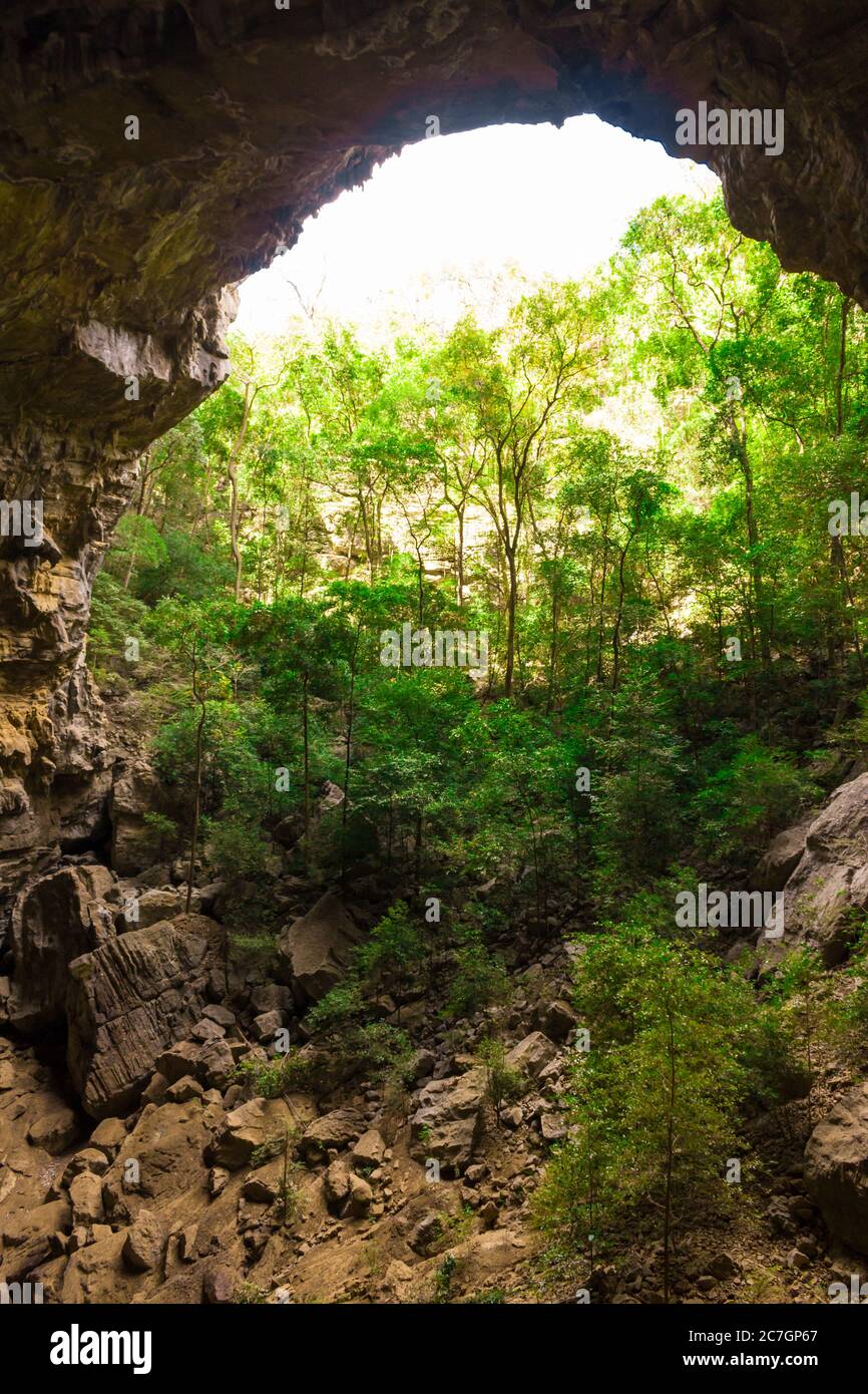 Ancient Bat cave in the Ankarana Special Reserve, Ankarana, Madagascar ...