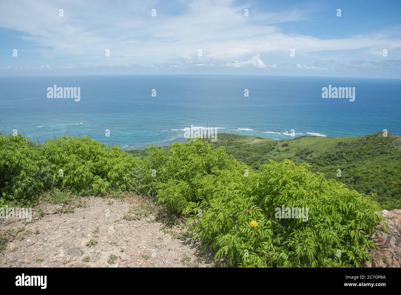 View of the lush greenery and Caribbean Sea from the Goat Hill hike on ...