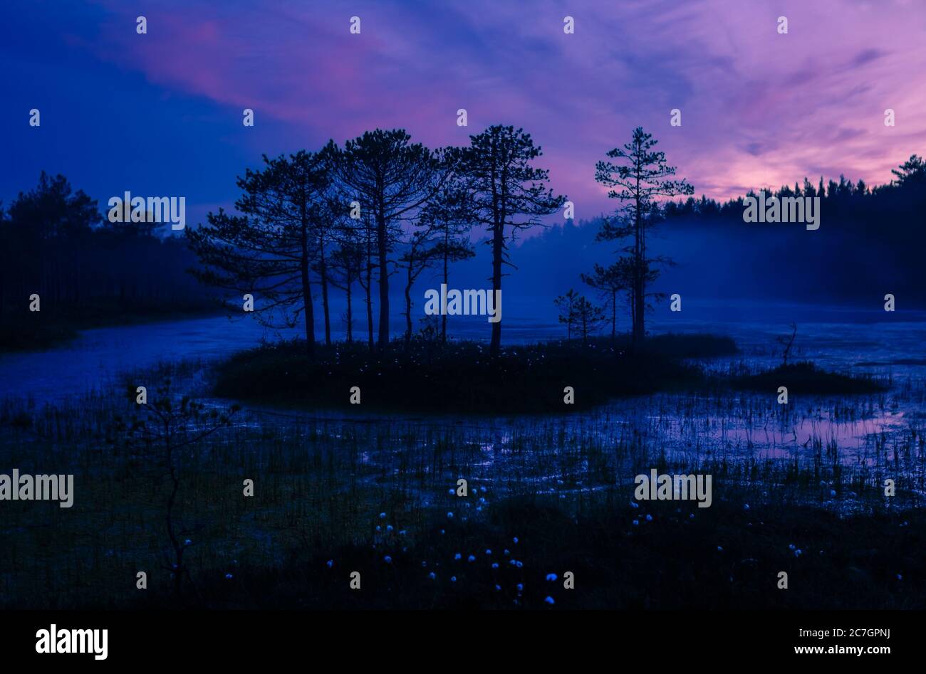 Loodus hi-res stock photography and images - Alamy