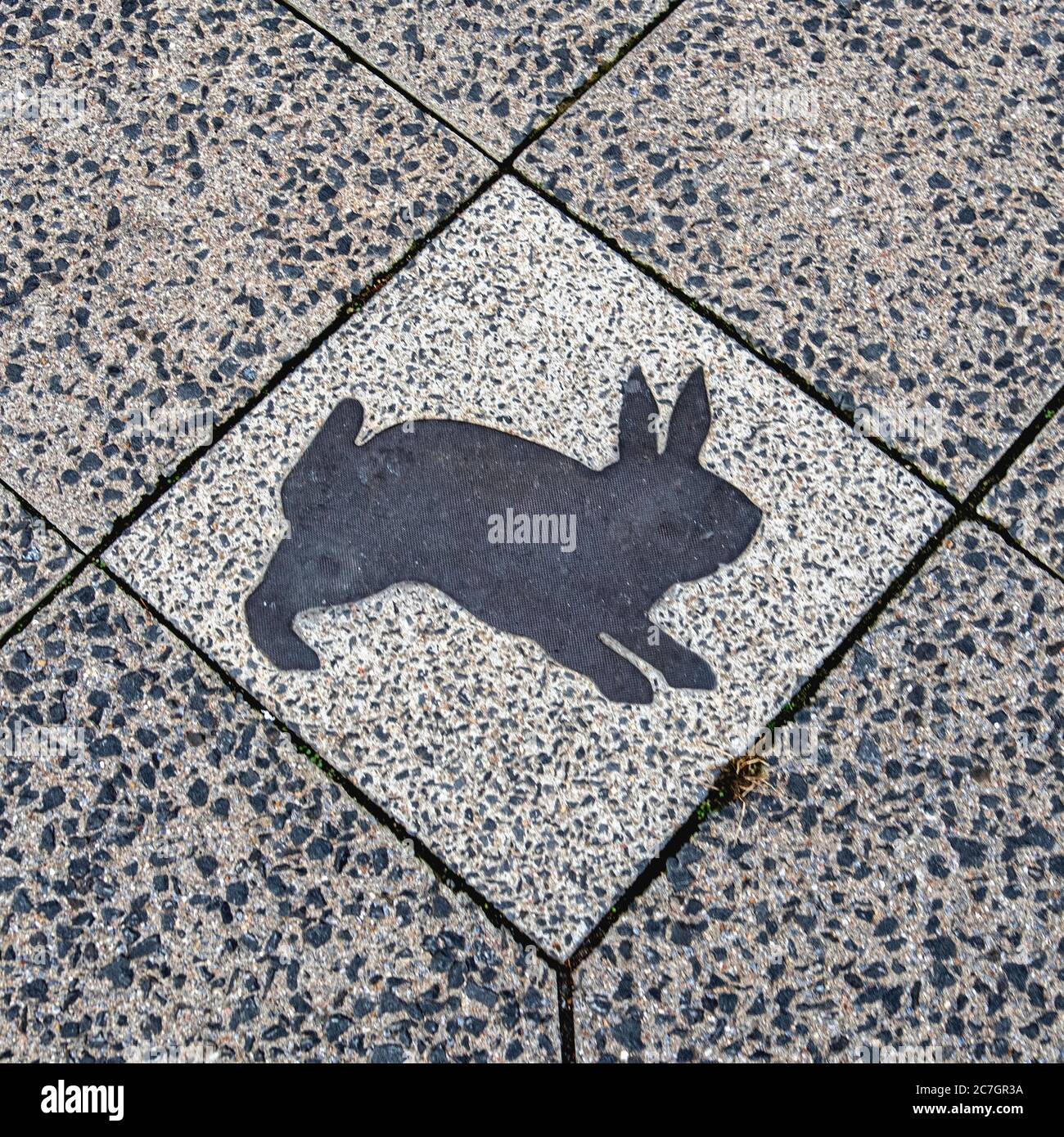 Berlin artist karla sachse hi-res stock photography and images - Alamy