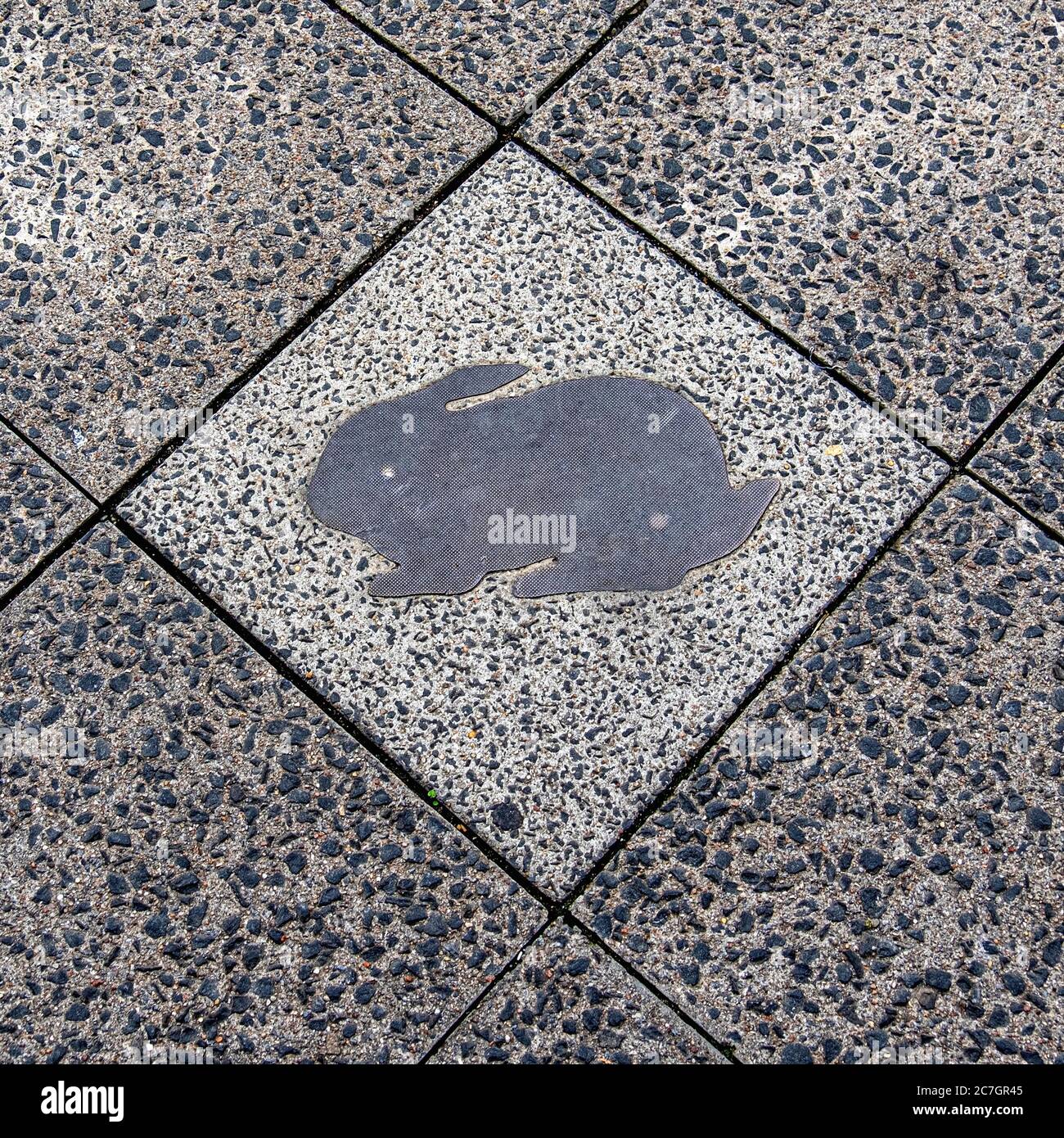 Kaninchenfeld, Rabbit Field. The Brass Rabbits Project by the Berlin ...