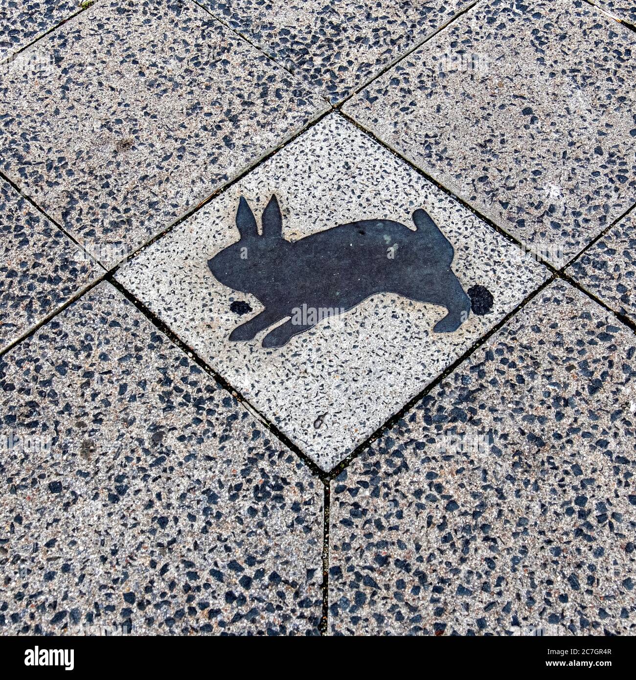 Kaninchenfeld, Rabbit Field. The Brass Rabbits Project by the Berlin ...