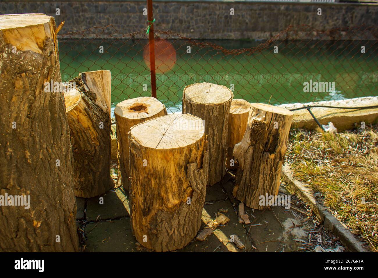 Cuted tree hi-res stock photography and images - Alamy