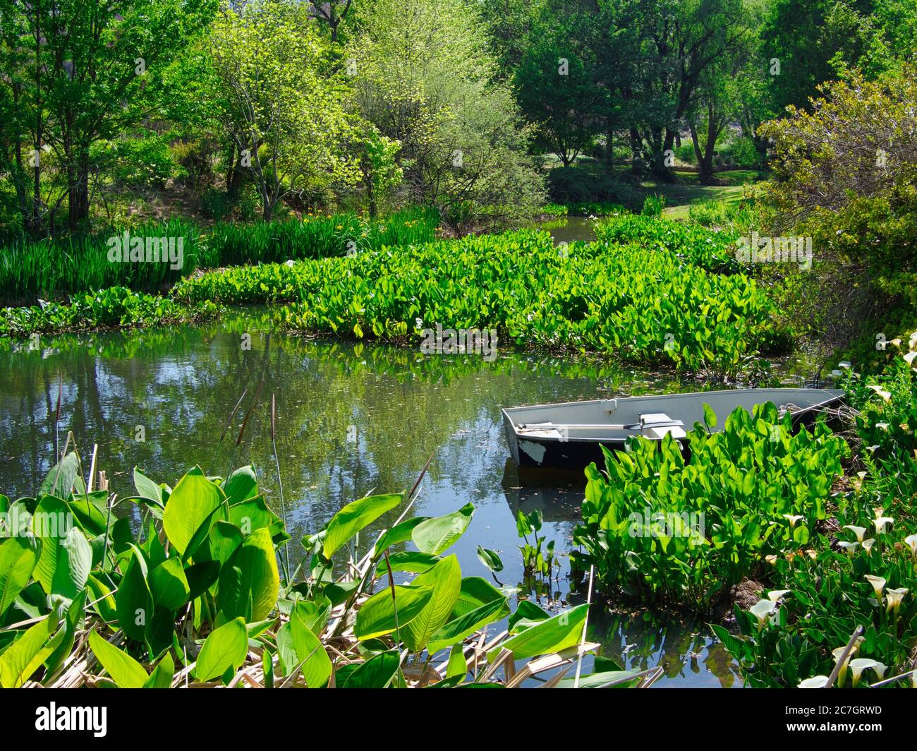 Boat on a lake surrounded by greenery flowers and trees under sunlight ...