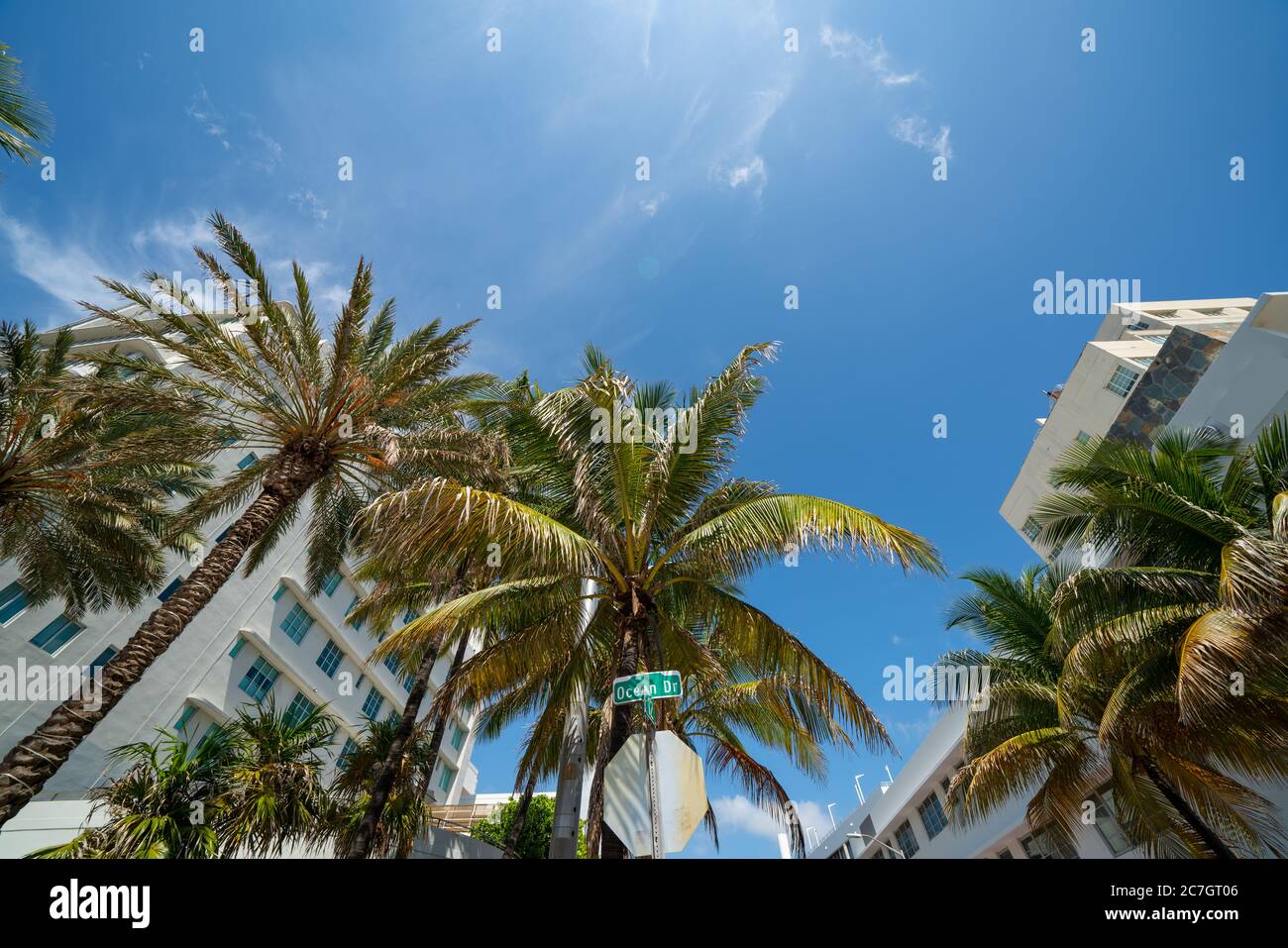 Colorful palm trees Miami Beach Ocean Drive Stock Photo - Alamy