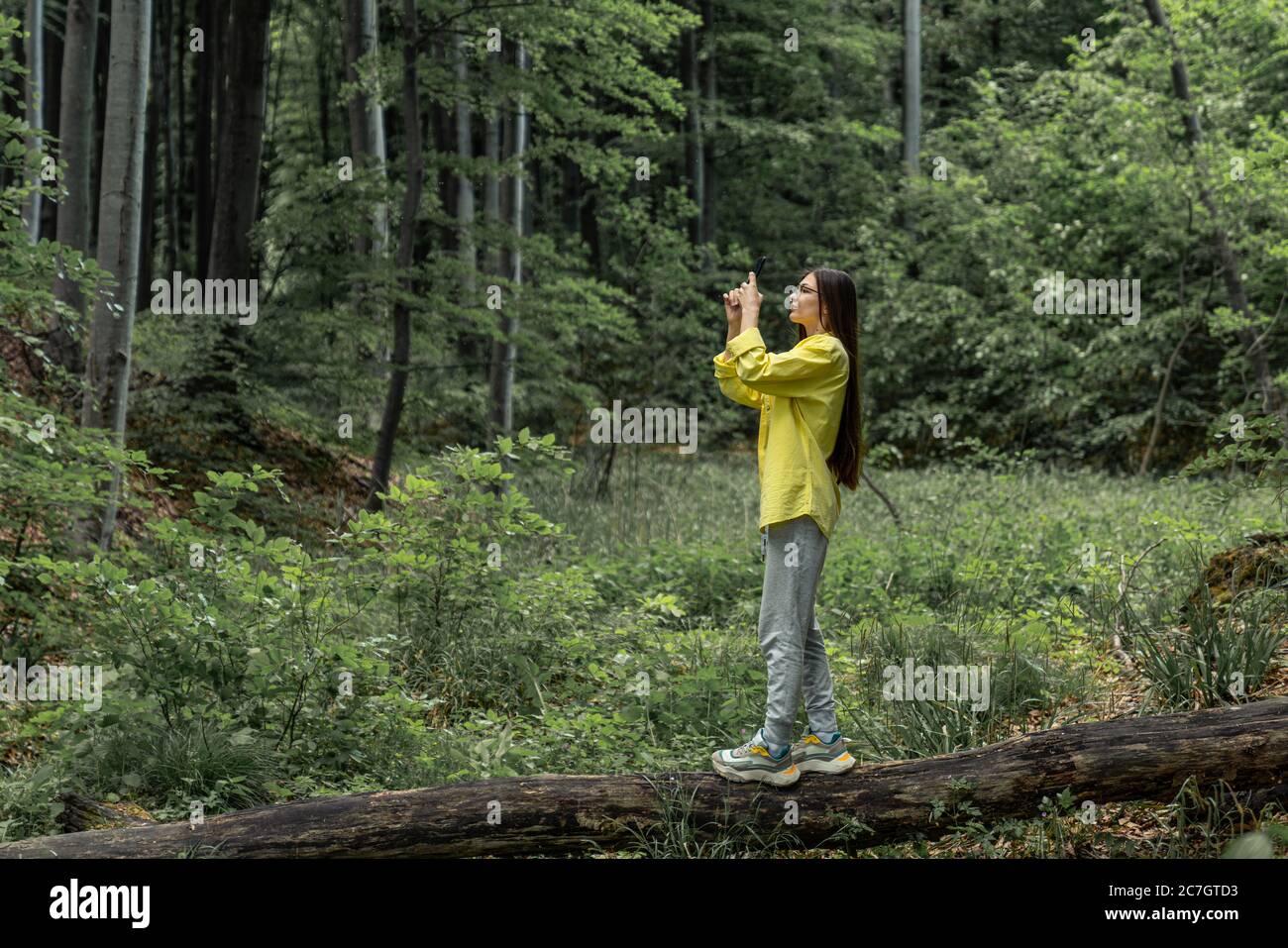 Beautiful brunette woman with loose hair photographing trees through ...