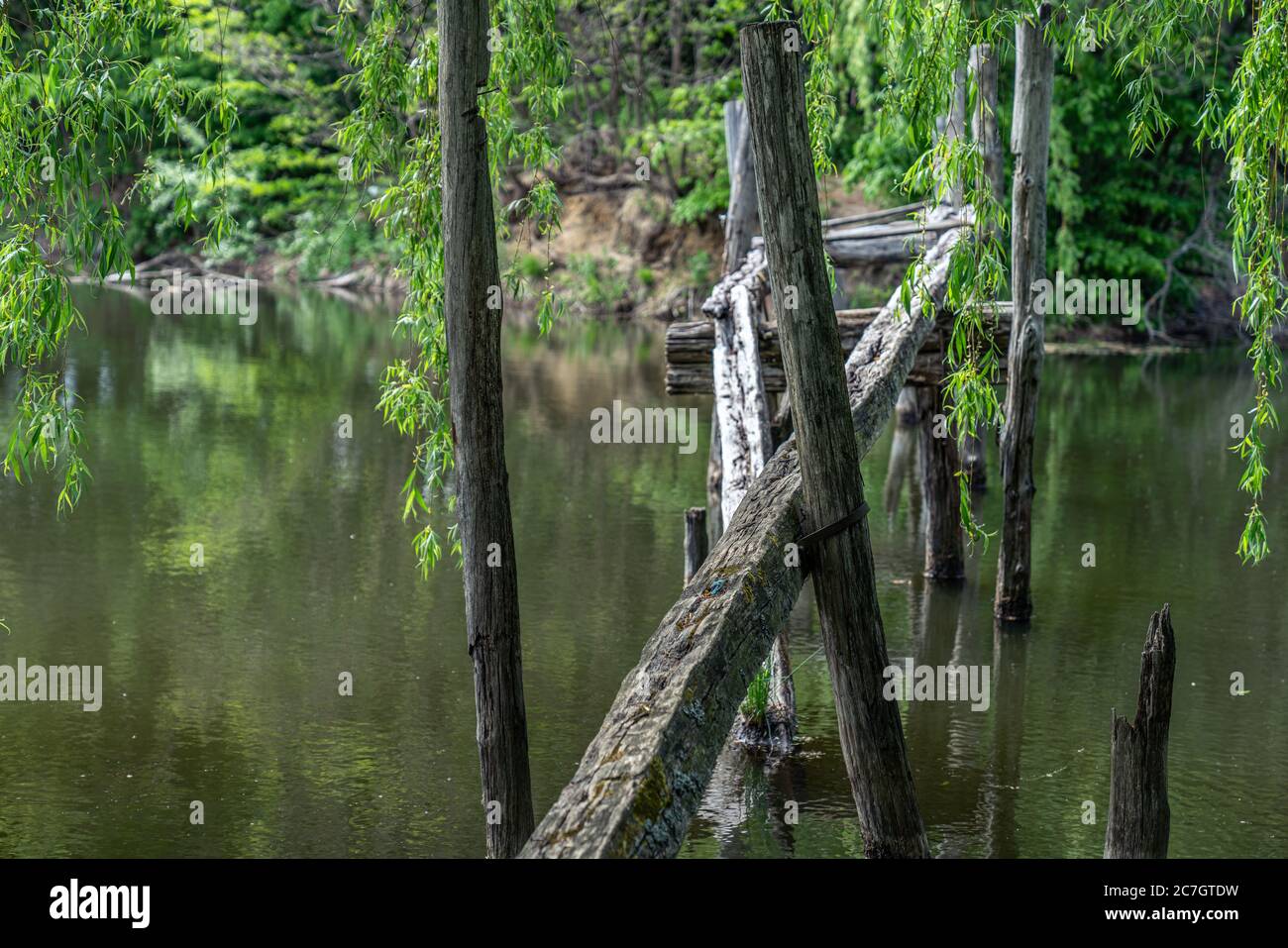Old bridge over the lake. An old broken wooden bridge across the lake ...