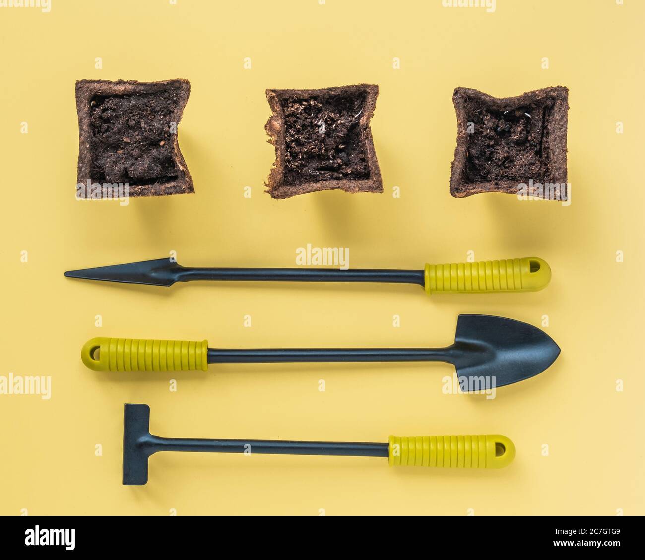 Three peat pots with seeds. Small tools for a home garden, rake and ...