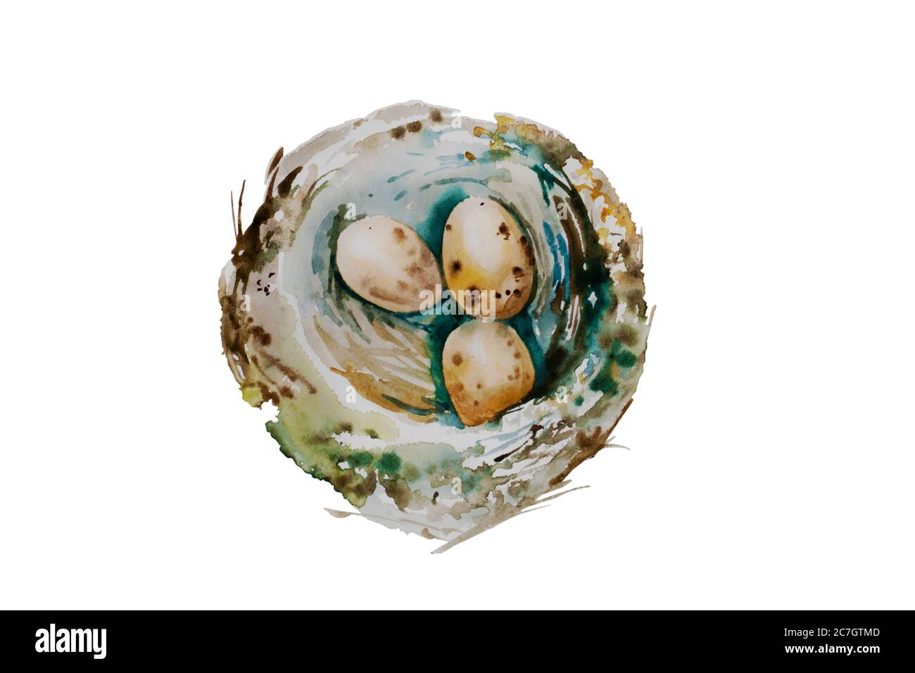 Three spotted eggs in the nest isolated on white background. Watercolor ...
